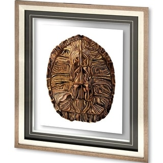Tortoise Shell Detail II by Naomi McCavitt a Framed Art Print Matted ...
