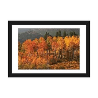 iCanvas "Aspen Stand On Chief Joseph Highway" by Brian Wolf PFA - Bed ...