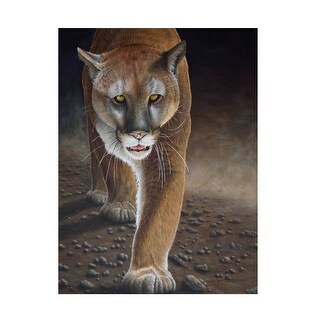 Steve Crockett 'Valley Of The Shadow Of Death' Canvas Art - Bed Bath ...