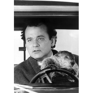 Film still of Bill Murray driving a car with a beaver Photo Print - Bed ...