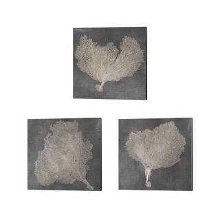 Vision Studio 'Natural Sea Fan' Canvas Art (Set of 3) - Bed Bath ...