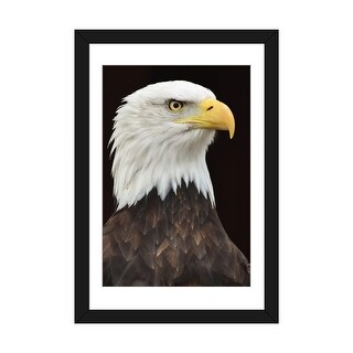 iCanvas "Bald Eagle Portrait On Black" by Michael Fitzsimmons PFA - Bed ...