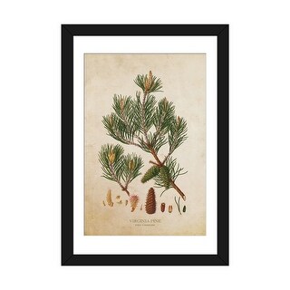 iCanvas "Vintage Virginia Pine Tree Cone" by Aged Pixel - Bed Bath ...