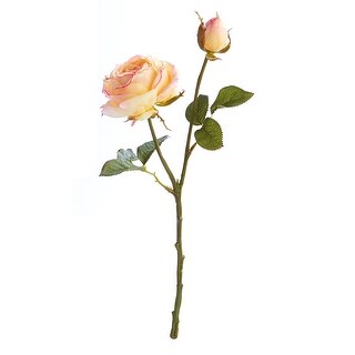 Garden Rose Cutting 14" - Cream - Bed Bath & Beyond - 39766962