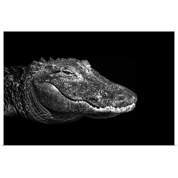alligator print background