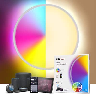 Smart Ceiling Light Front RGB+WW 3000K 12 inch Flush Mount Ceiling ...