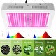 2000W Led Grow Light For Indoor Plants Full Spectrum Uv And Ir Plant ...
