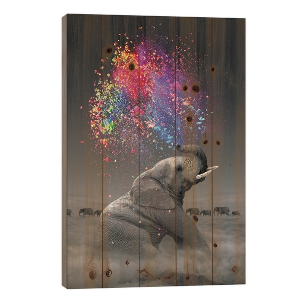 multicolour elephant