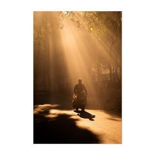 Udaipur Rajasthan India Light Play Photography Art Print/Poster - Bed ...