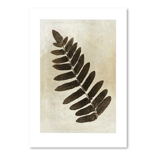 Americanflat - Sepia Leaf Collage Ii by Chaos & Wonder Design - 16"x20 ...