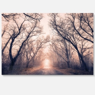 Road Through Mystical Dark Forest - Landscape Photo Glossy Metal Wall ...