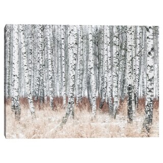 The Silver Forest by Mikael Svensson Canvas Art Print - White - Bed ...