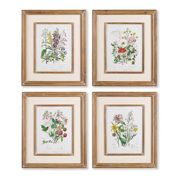 Garden Botanical Prints Set Of 4 - Bed Bath & Beyond - 37824936
