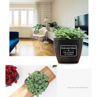 Succulent Flower Pots Automatic Water Absorption Flowerpot With Tray ...