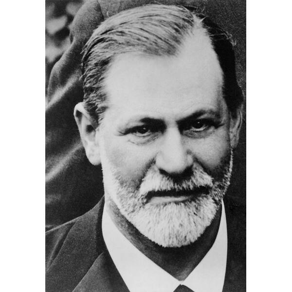 Sigmund Freud History - Bed Bath & Beyond - 24409758