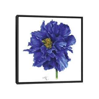 iCanvas "Himalayan Poppy" by Nicola Mountney Framed - Bed Bath & Beyond ...