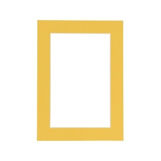 16x22 Mat Bevel Cut for 12x19 Photos - Acid Free Chamois Yellow Precut ...
