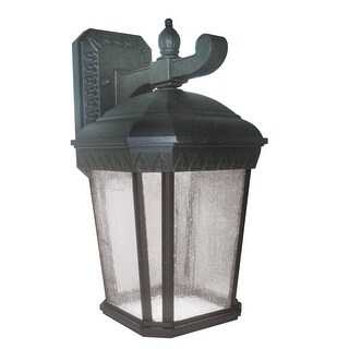 Bronson 1-light Black LED Outdoor Wall Sconce, Clear Seeded Glass ...