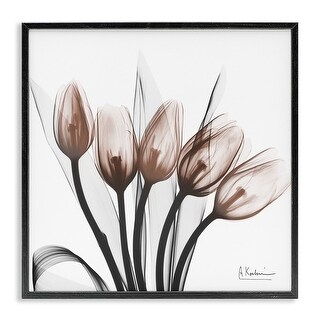 Stupell Modern Lined Up Tulips Framed Giclee Art Design By Albert ...