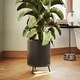 Everett Black Mid-Century Modern Indoor Metal Pot Planter with 3-Leg ...