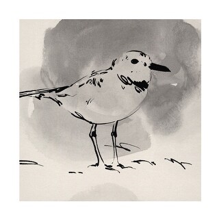 Jacob Green 'Inky Plover III' Canvas Art - Bed Bath & Beyond - 39539198