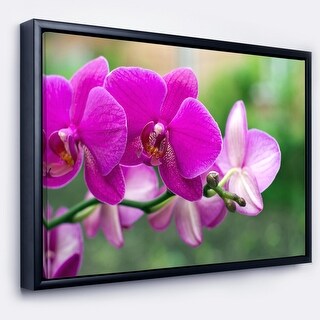 Designart "Beautiful Orchid Flowers on Green" Large Floral Framed ...