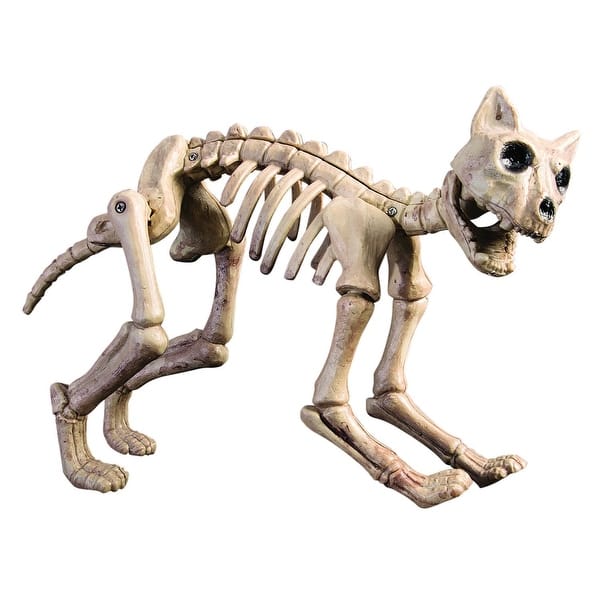 cat skeleton decoration