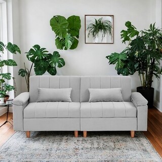 Modern 2-Seat Sectional Sofa with Hidden Storage, Velvet Sleeper Sofa ...