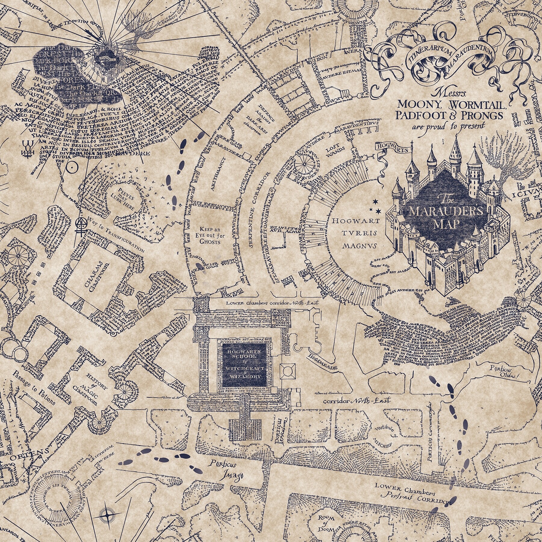 Blue Harry Potter Map Peel and Stick Wallpaper by RoomMates - On Sale ...