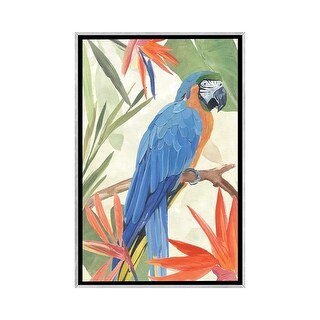 iCanvas "Tropical Parrot Composition IV" by Annie Warren Framed - Bed ...