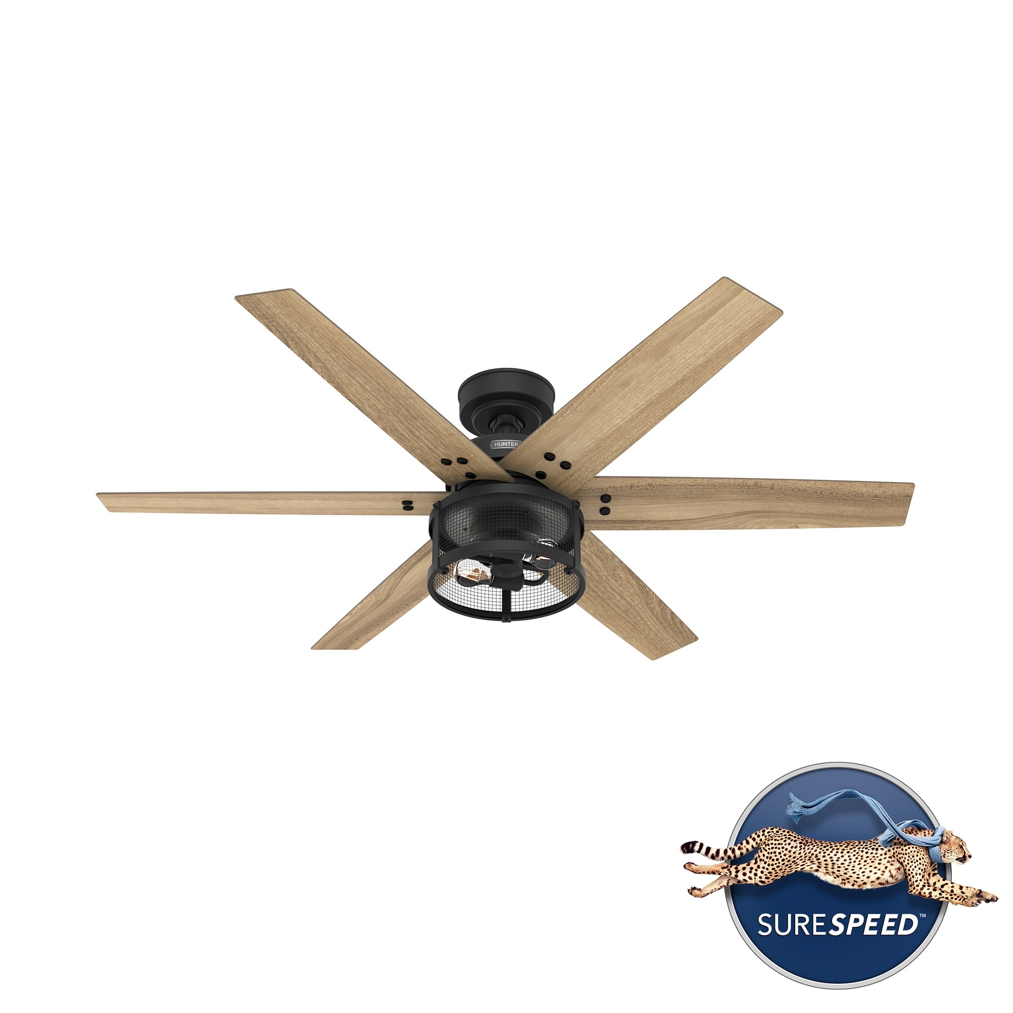 Indoor Ceiling Fans - Bed Bath & Beyond