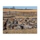Rose Farm Gettysburg Pennsylvania Photography Rural Art Print/Poster ...