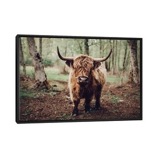 iCanvas "Longhorn Brown Highland Mini Cow" by Lauren Lilly Framed ...