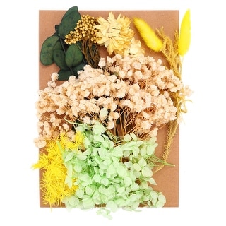 Natural Dried Flowers Multiple Real Dried Pressed Flowers Plant Yellow ...