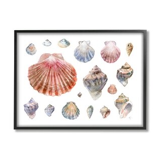 Stupell Nautical Shell Watercolor Study Patterned Aquatic Life Framed ...