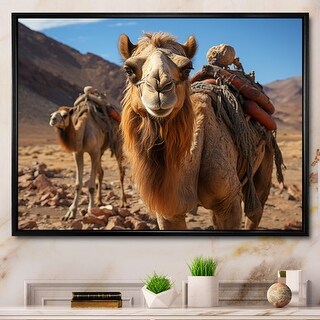 Designart "Camel Desert Wanderer II" Animals Framed Canvas Art Print ...
