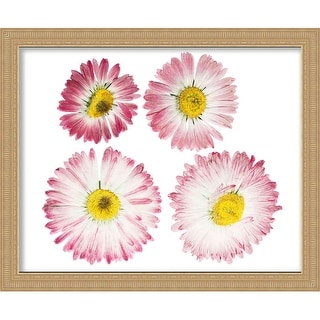 8x4 Gold Shadowbox Frame - Interior Size 8x4 by 1.5 In Deep - This Gold ...