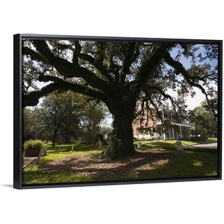 "Evangeline oak tree in a garden, St. Martinville, St. Martin Parish ...