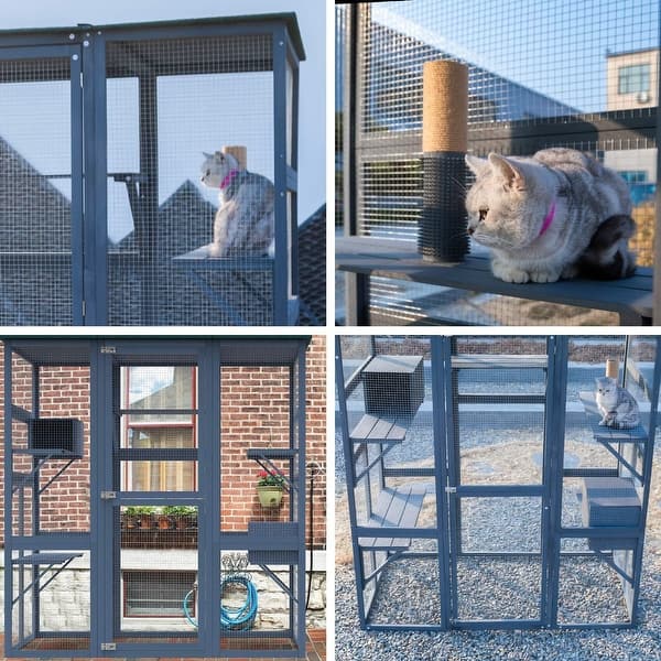 outdoor cat house with run