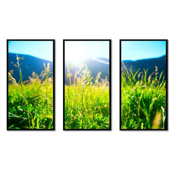 beautiful nature frames