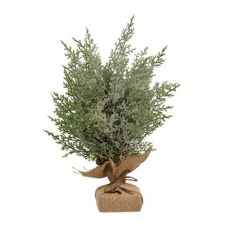 Frosted Woodland Cedar Tree 15" - Bed Bath & Beyond - 36949397