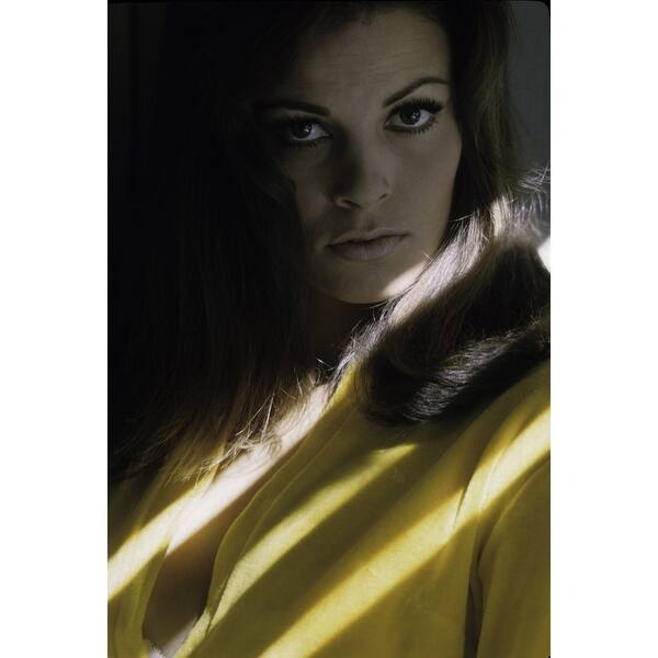Raquel Welch Photo Print - Bed Bath & Beyond - 25382781