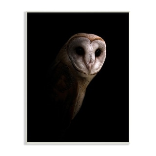 Stupell Beautiful Intense Barn Owl Black Shadow Photography Portrait ...