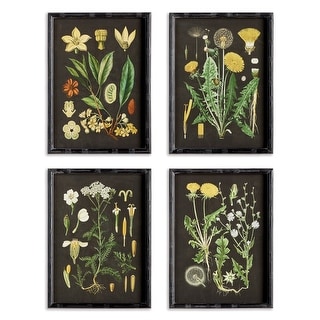 Golden Botanical Study - Bed Bath & Beyond - 37332239