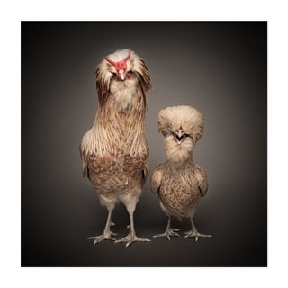 Husband and Wife Photography Animals Bird Birds Art Print/Poster - Bed ...