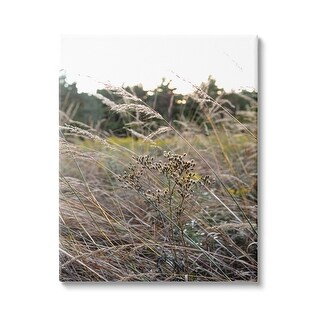 Stupell Countryside Meadow Blooming Reeds Tall Grass Buds Canvas Wall ...