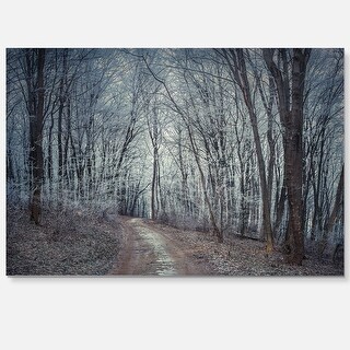 Dense Gray Fall Forest Path - Landscape Photo Glossy Metal Wall Art ...