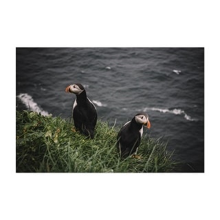 Mykines Faroe Islands Angry Puffins Photography Art Print/Poster - Bed ...