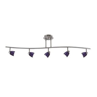 5 Light 120V Metal Track Light Fixture with Glass Shade, Silver and ...