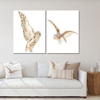 Designart 'Portrait Of A Barn Owl III' Traditional Art Set of 2 Pieces ...
